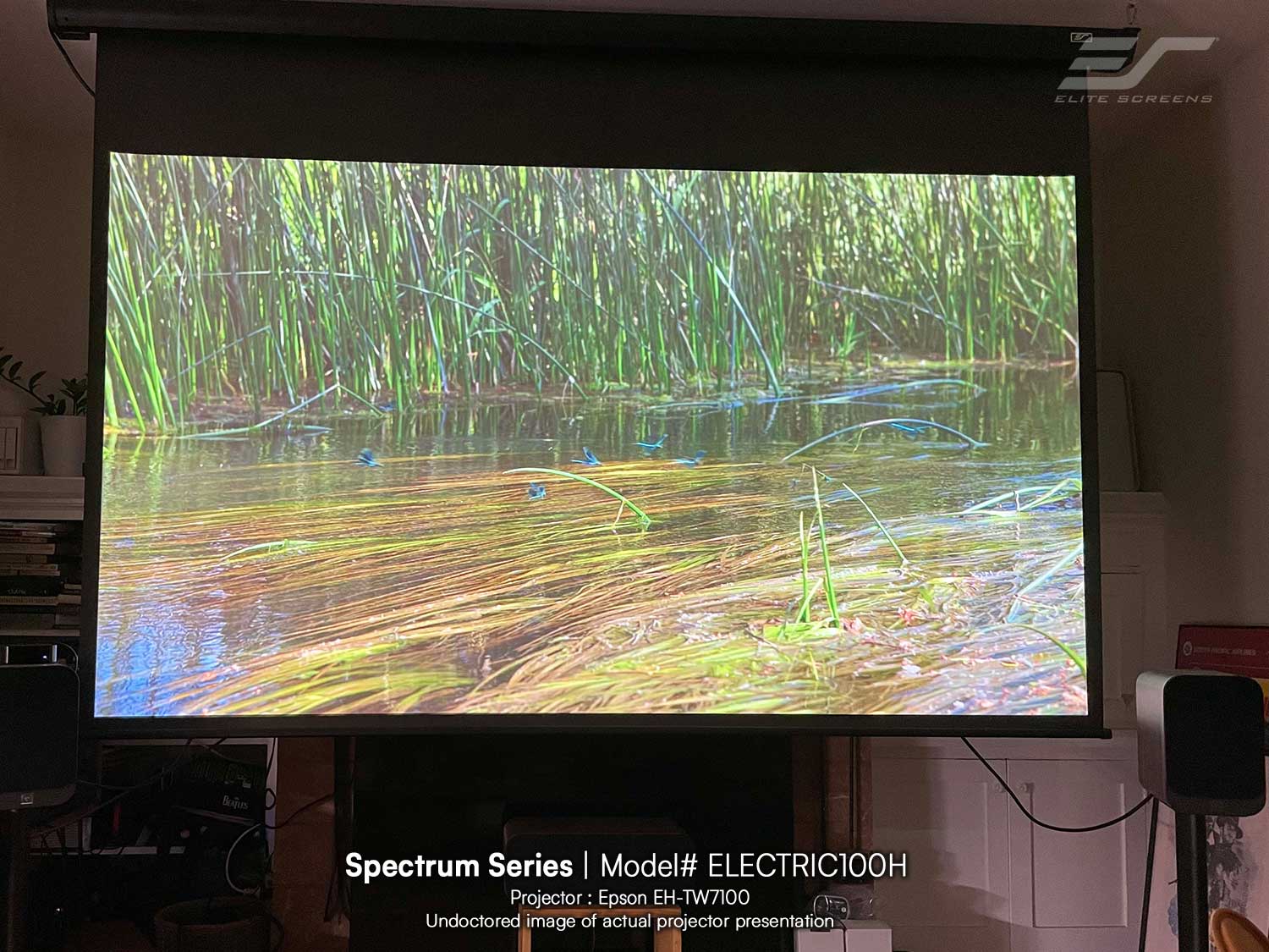100" Spectrum Electric Motorized Projection Screen w/Epson EH-TW7100 ...