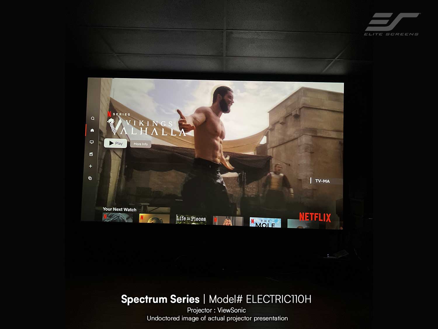 110" Spectrum Electric Motorized Projection Screen w/ViewSonic – Shop ...