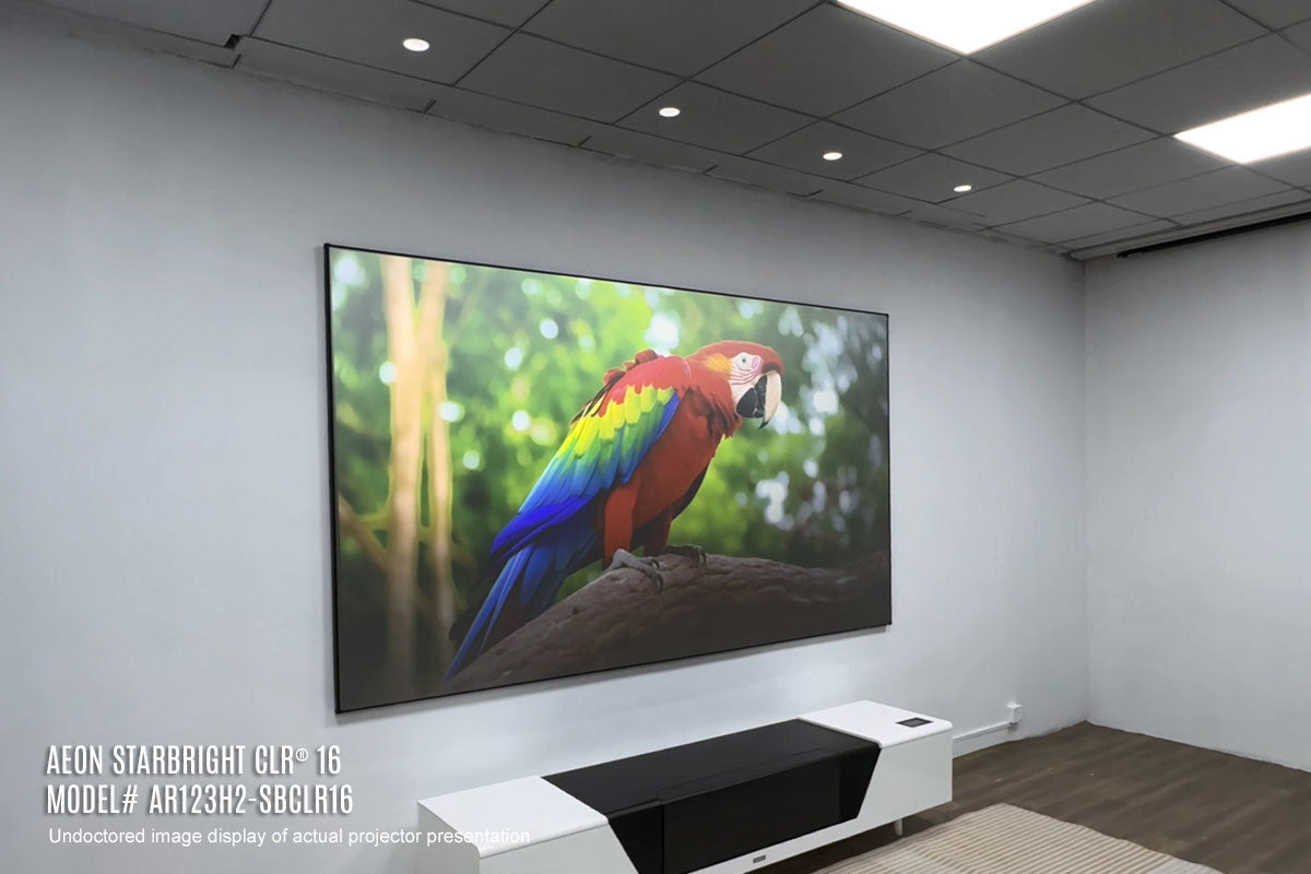 123" Aeon StarBright™ CLR® 16 CLR/ALR Projection Screen | Bright Room ...