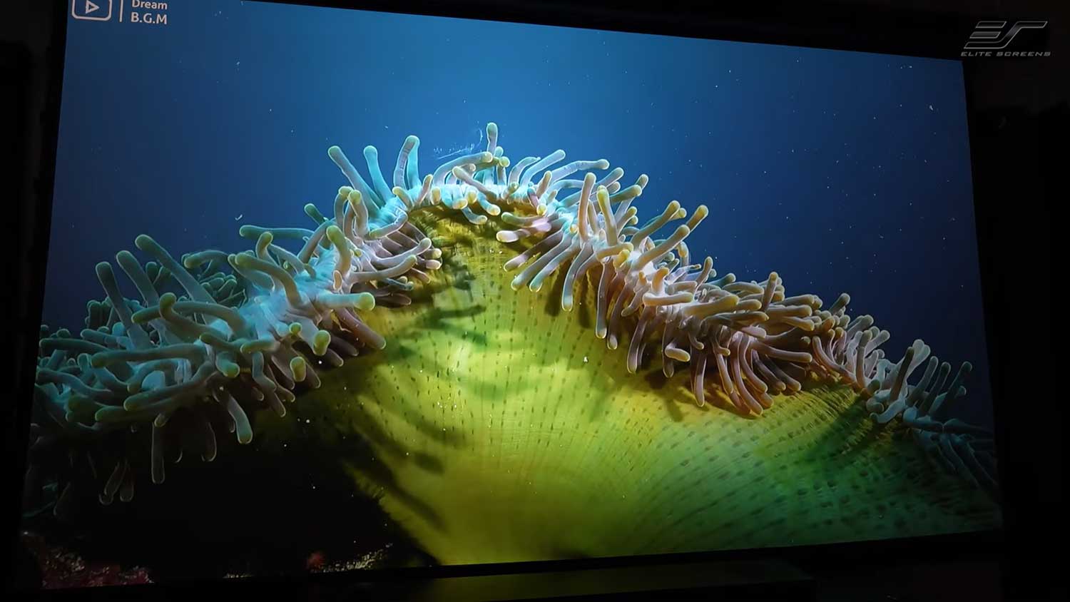 120" Starling Tab-Tension 2 CineGrey 5D Motorized ALR / CLR Projection ...