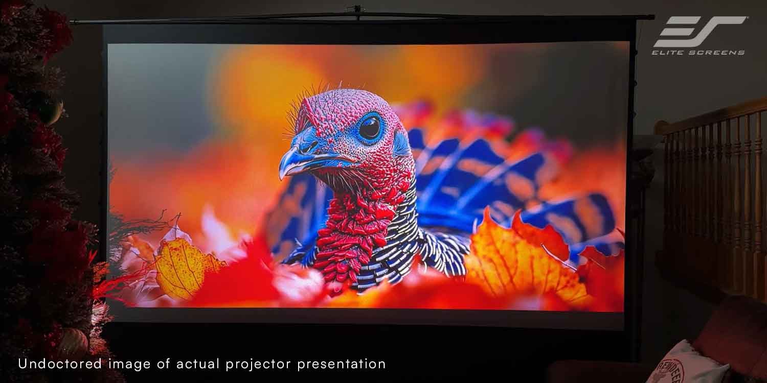 Shop Portable Screens for Any Space – Shop Elite Screens