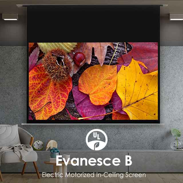 Top Recessed/In-Ceiling Electric Screens Online – Shop Elite Screens